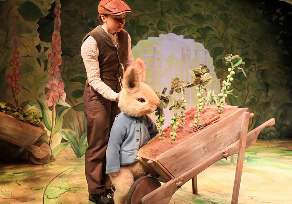 Where is Peter Rabbit? – LittleBird Blog