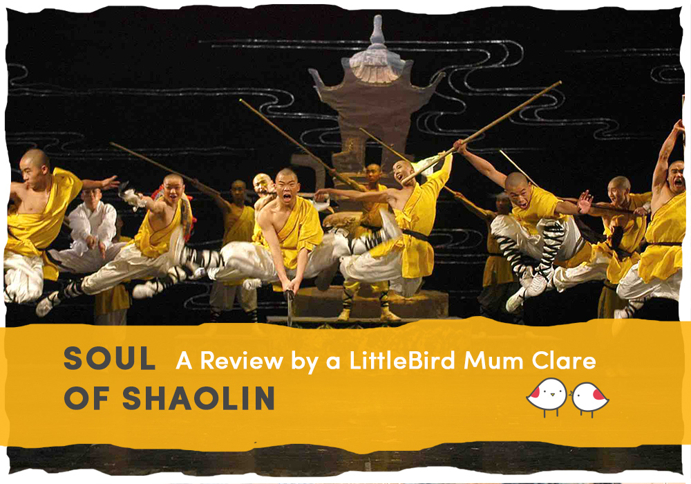The Soul of Shaolin: Review – LittleBird Blog