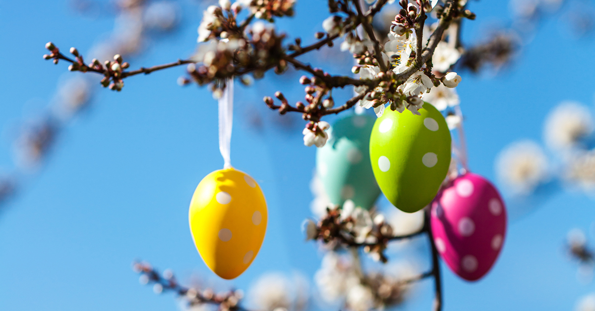 Make and Decorate an Easter Tree – LittleBird Blog