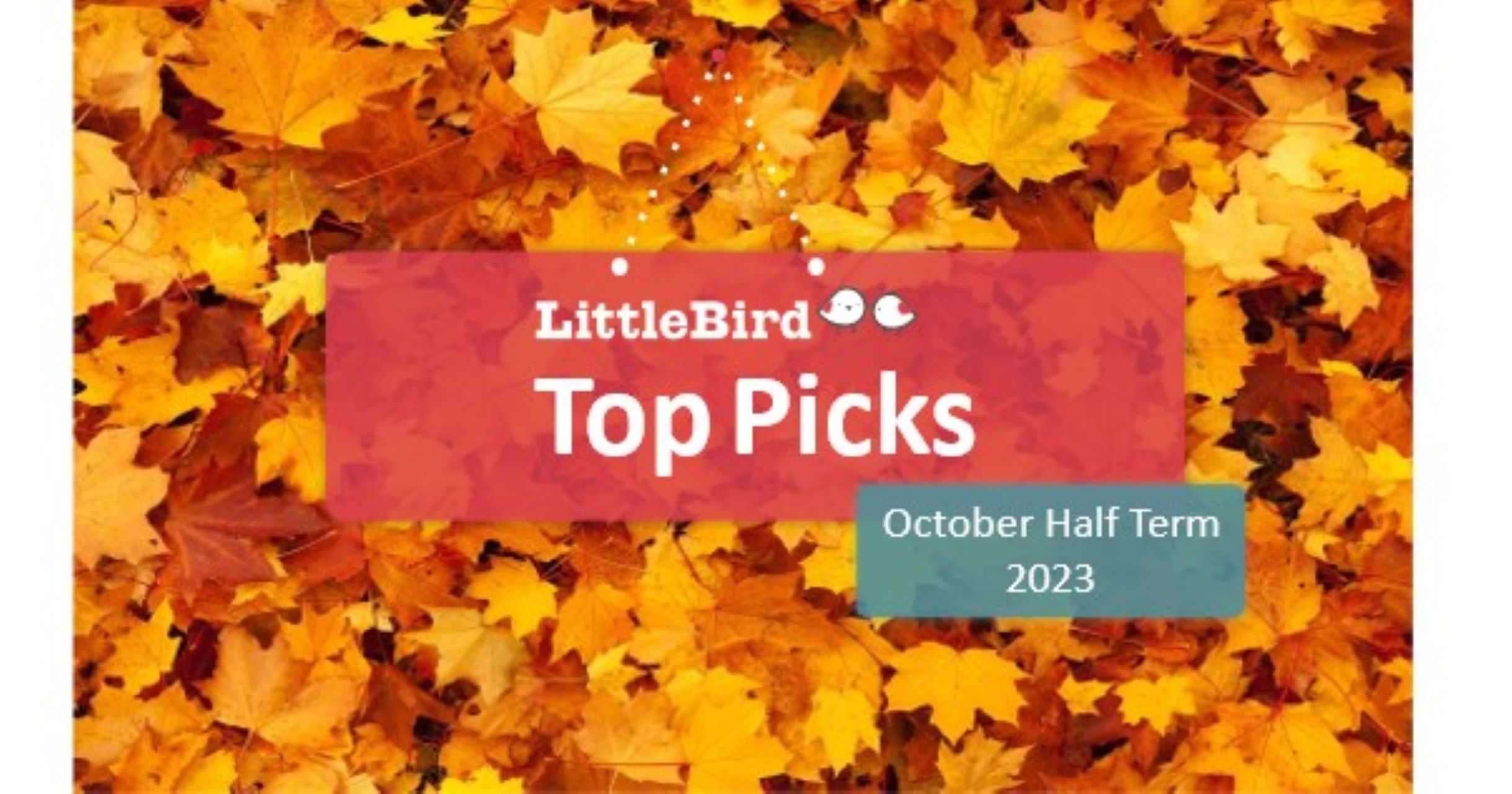 LittleBird’s October Half Term & Halloween Top Picks – LittleBird Blog