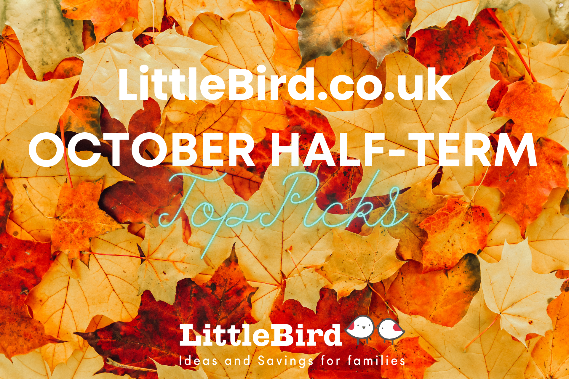 LittleBird loves…..our spooktacular October half-term Top picks guide ...
