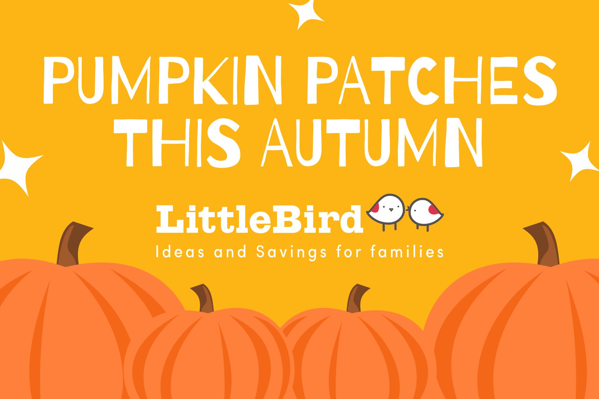 Where to Find the Best Pumpkin Patches near London this October ...