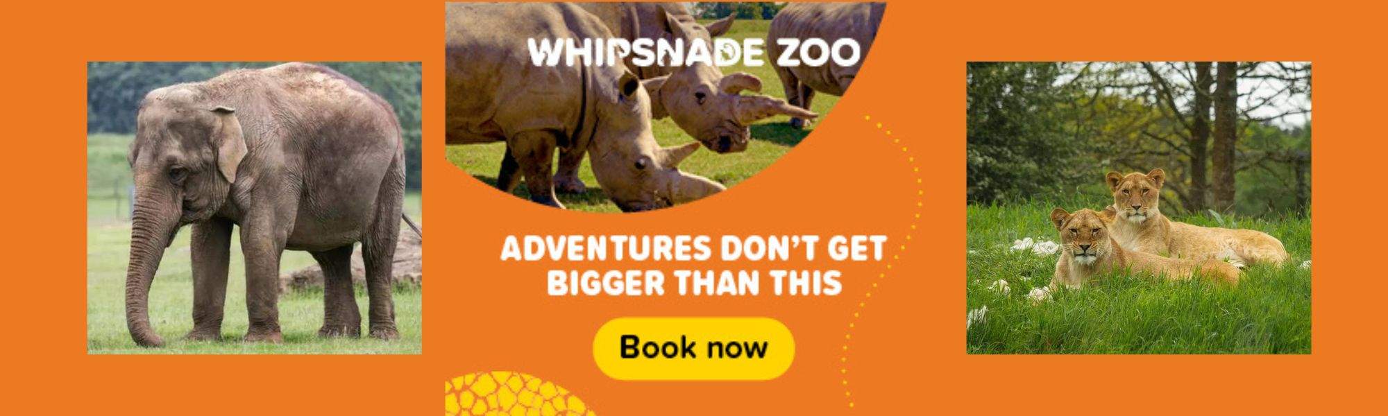 LittleBird - Enjoy a wildlife adventure at Whipsnade - the UK's biggest zoo
