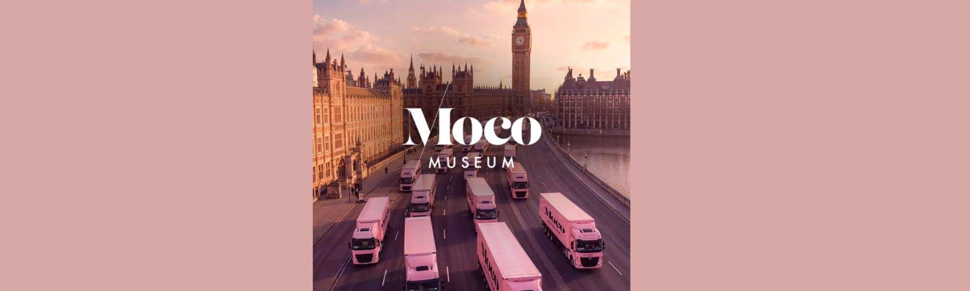 LittleBird - Moco Museum - Limited time offer