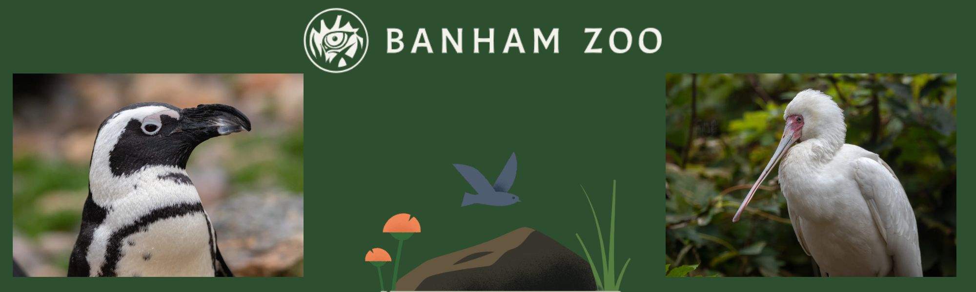 LittleBird - Save up to 77% on Banham Zoo Entry Tickets for one or two ...